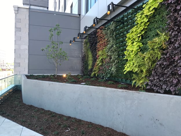 Commercial Landscape Gallery | Color Burst Landscapes